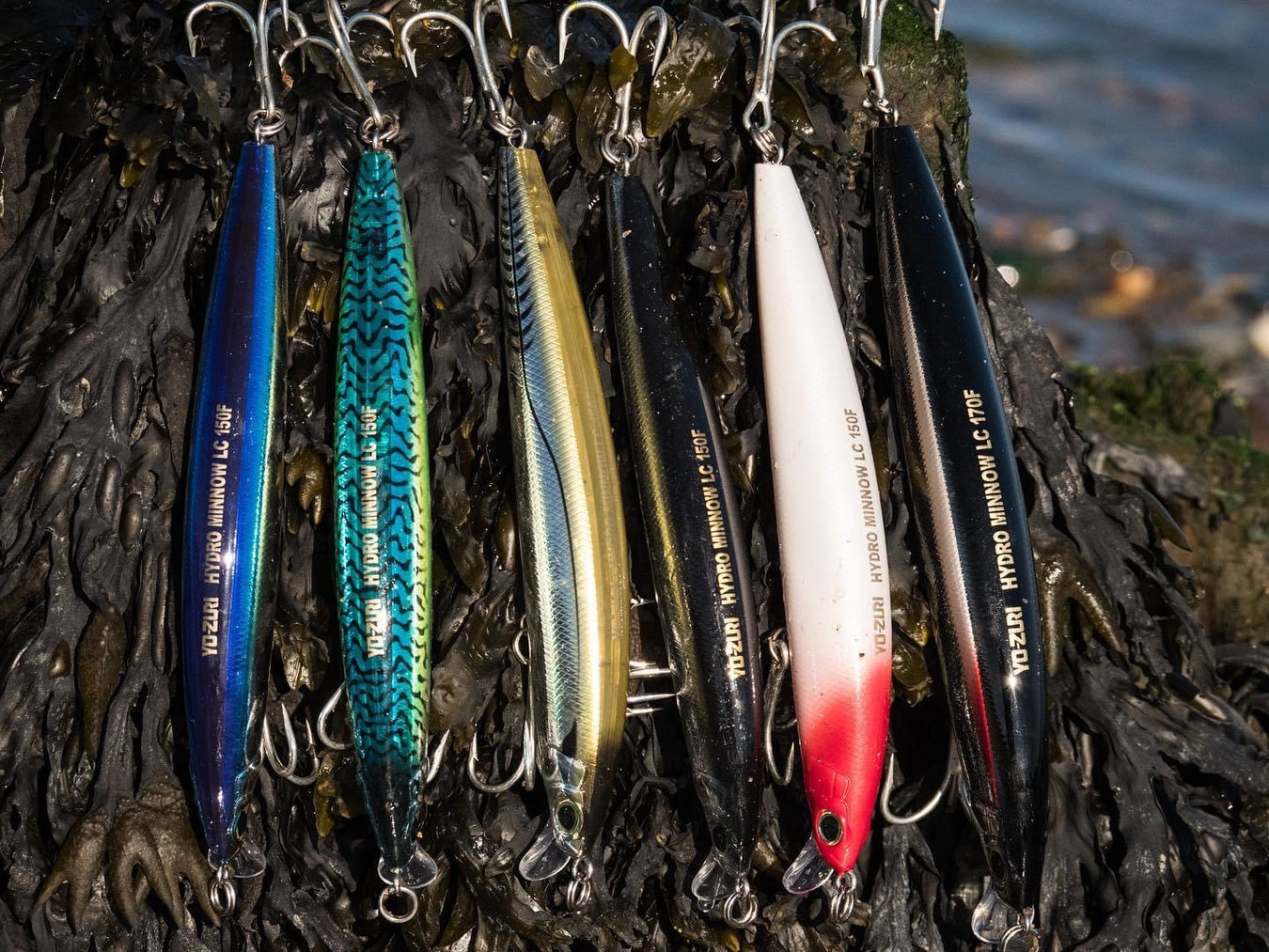 Brand Name Fishing Gear At Closeout Prices. — FishAndSave