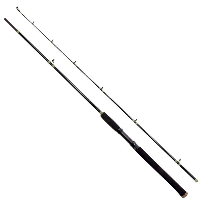 Eagle Claw ECCAT96C Cat Claw 2 Casting Catfish Rod 9'6" 2 Pc - Casting ...