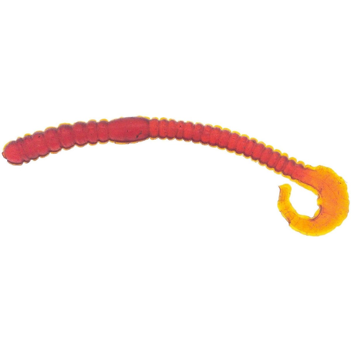 FAS Curly Tail Worms 5-1/2" Many Colors Avail. (Bulk/Packaged) Pack Of ...