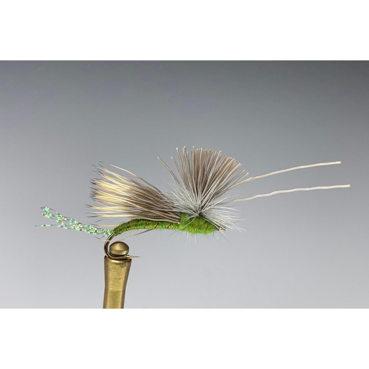 Freestone Fly Mohawk Caddis Olive Size 16 Qty 12 - FishAndSave