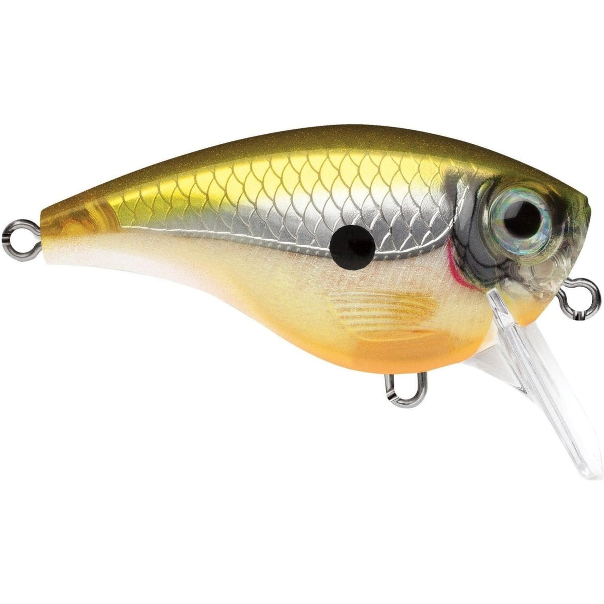 RAPALA BALSA XTREME BX BIG BRAT 2-3/4in 3/4oz 6ft - Crankbait Rapala $6 ...